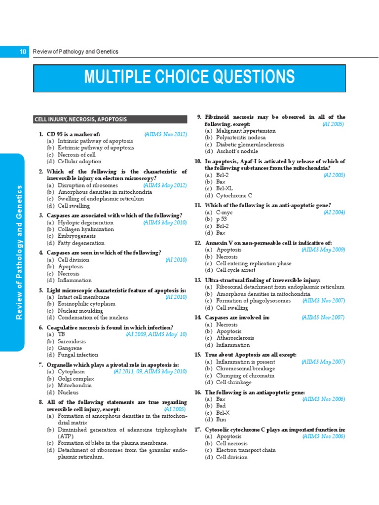 Multiple Choice Questions: Cell Injury, Necrosis, Apoptosis | PDF ...