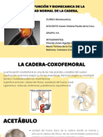Articulación Coxofemoral Cuadro Integrador | PDF | Rodilla | Cadera
