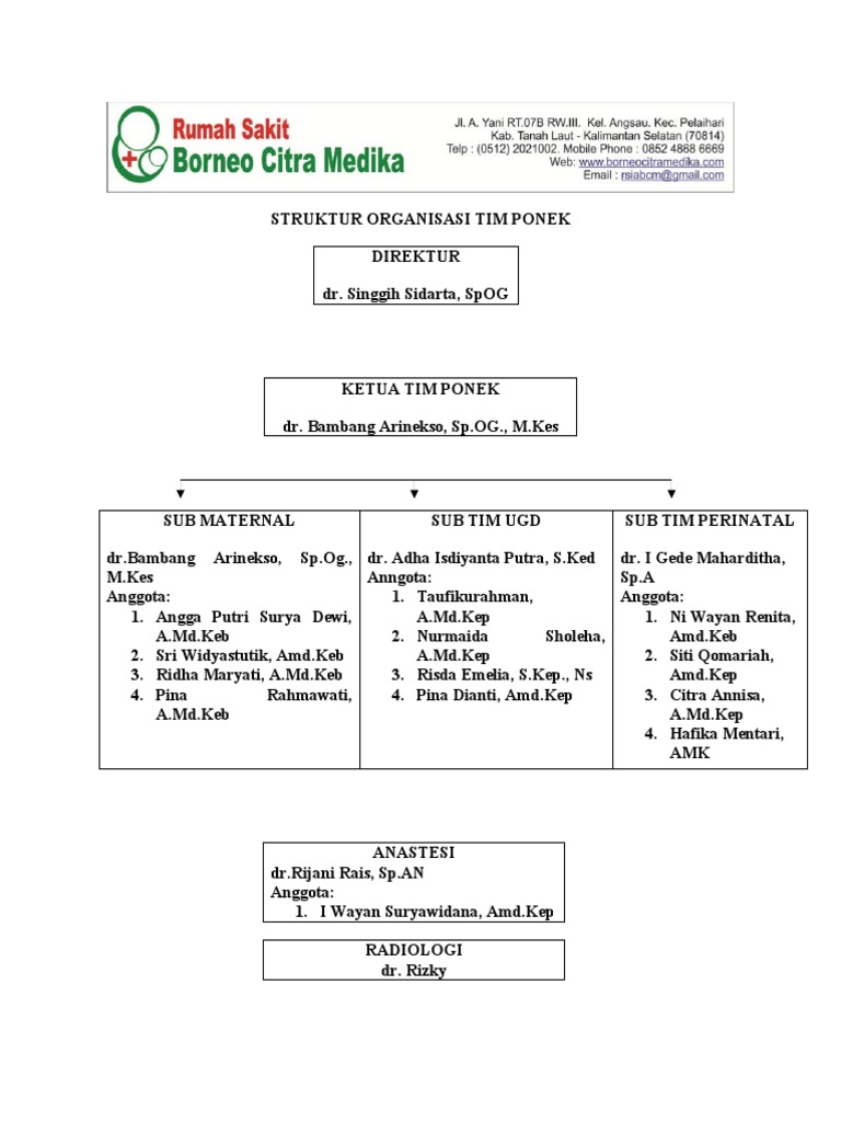 Struktur Organisasi Tim Ponek | PDF