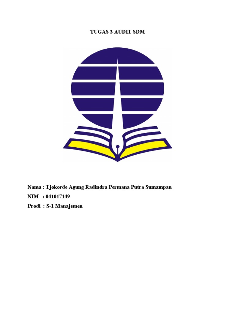 Tugas 3 Audit SDM | PDF