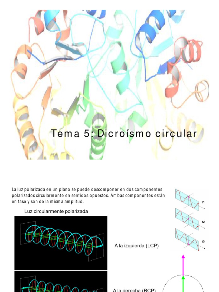 Tema 5 - Dicroísmo Circular | PDF | Polarización (ondas) | Chiralidad ...
