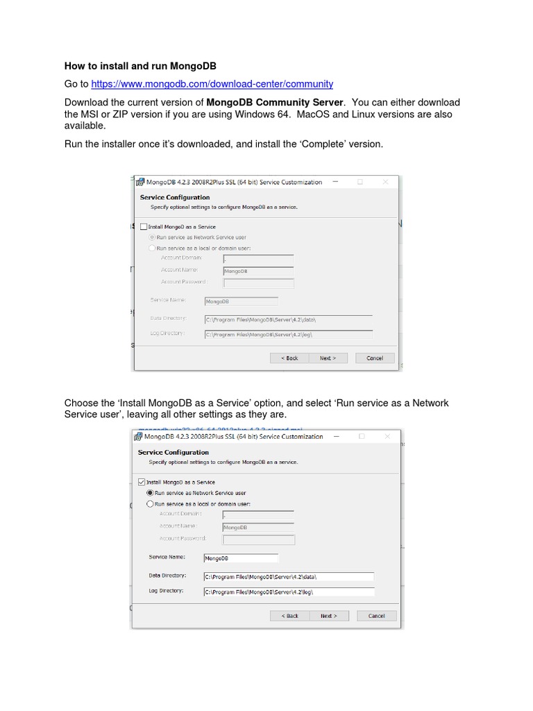 How To Install and Run MongoDB With Robo3T | PDF