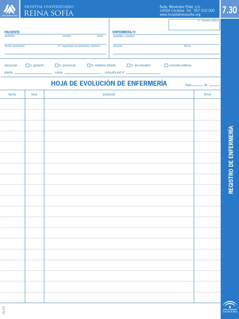 Hoja de Evolución de Enfermería | PDF