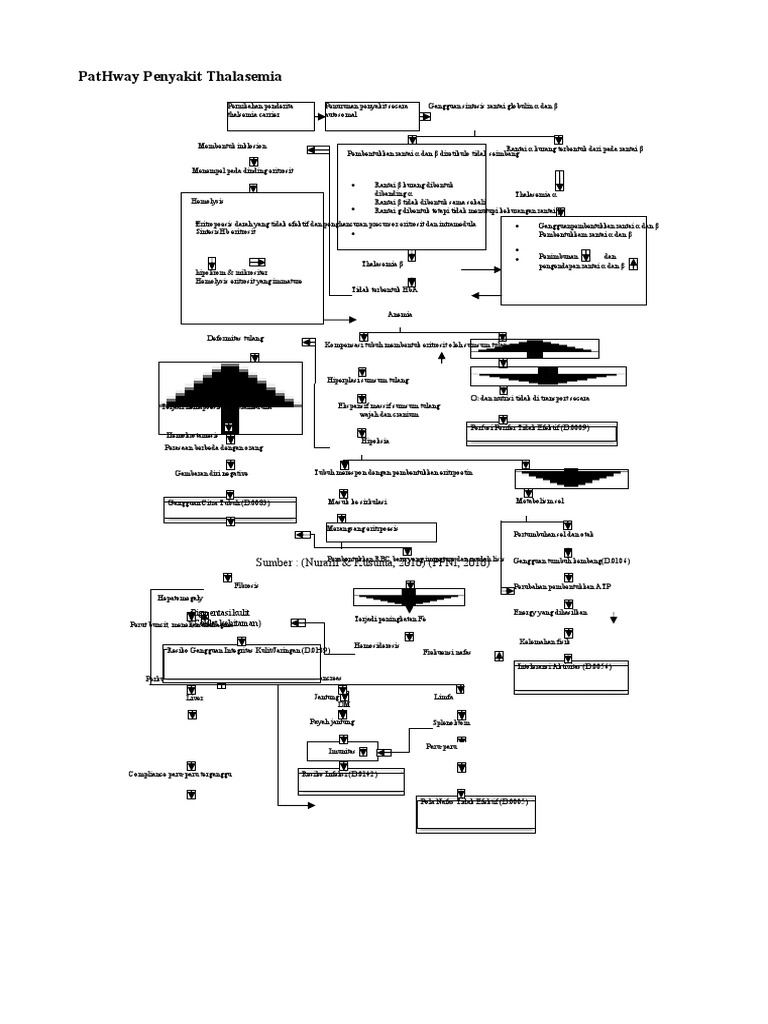 Pathway Thalasemia | PDF