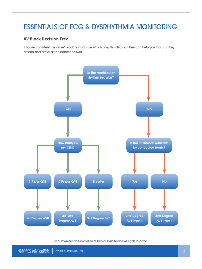 4 Atrioventricular Block Decision Tree | PDF