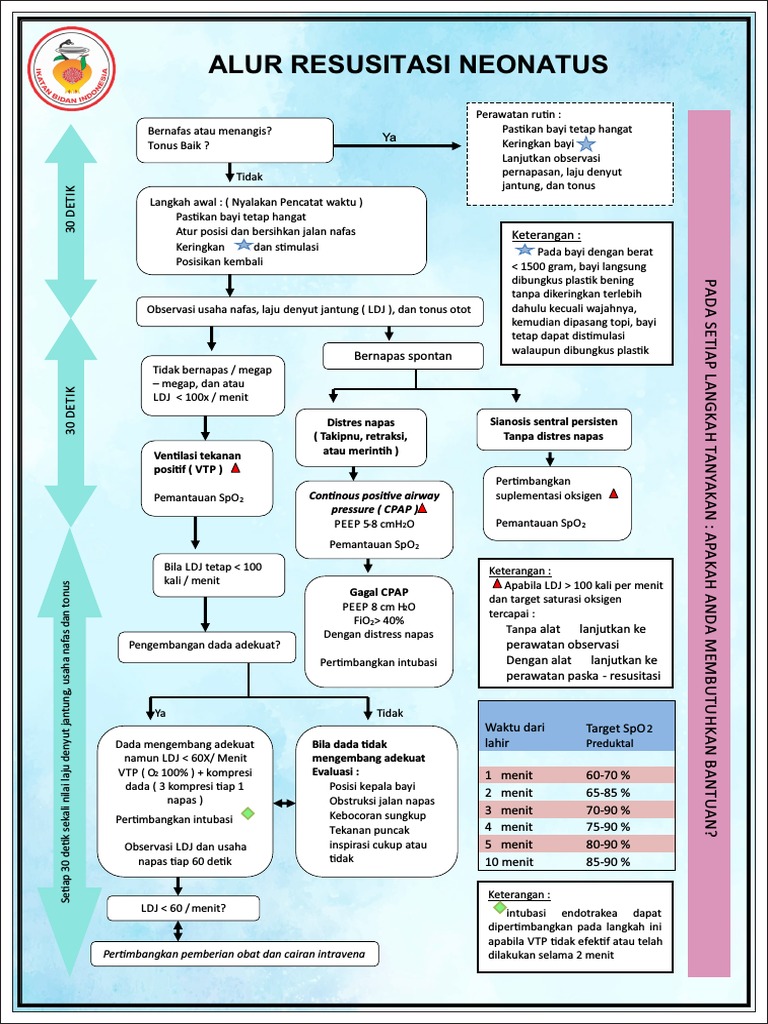 Poster Alur Resusitasi Neonatus | PDF