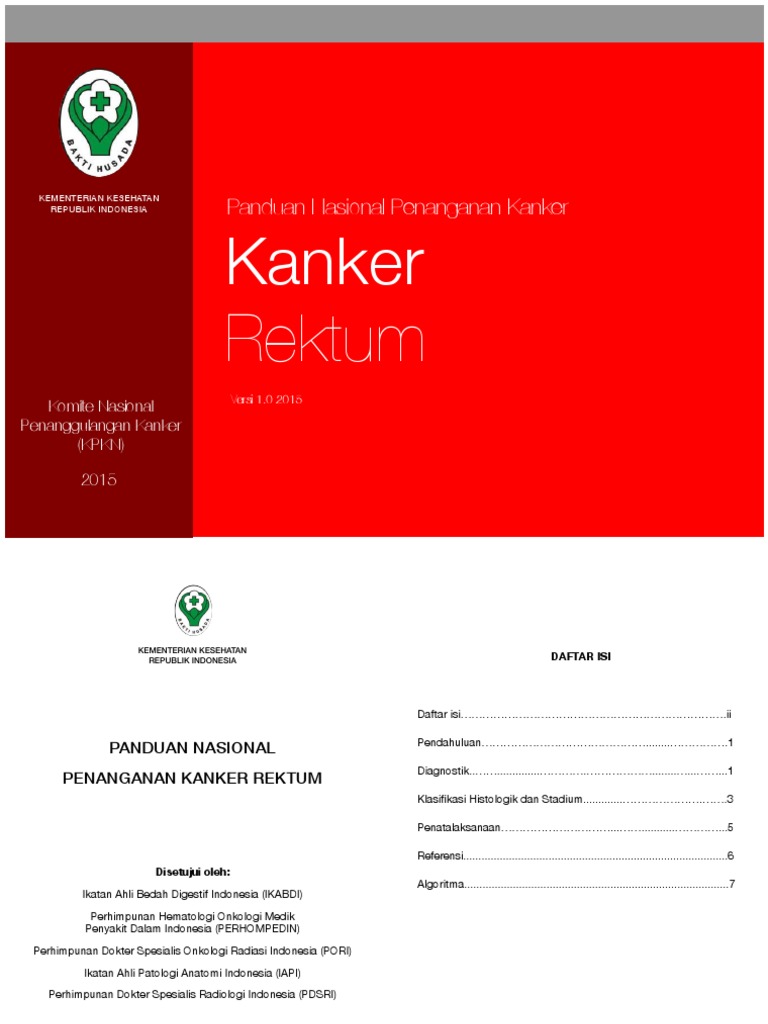 PNP - Kanker Rektum | PDF