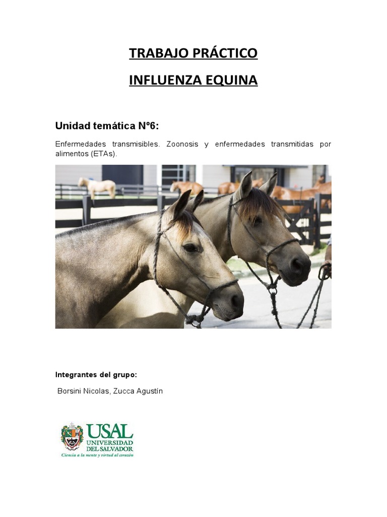 Influenza Equina.. | PDF | Influenza | Virus