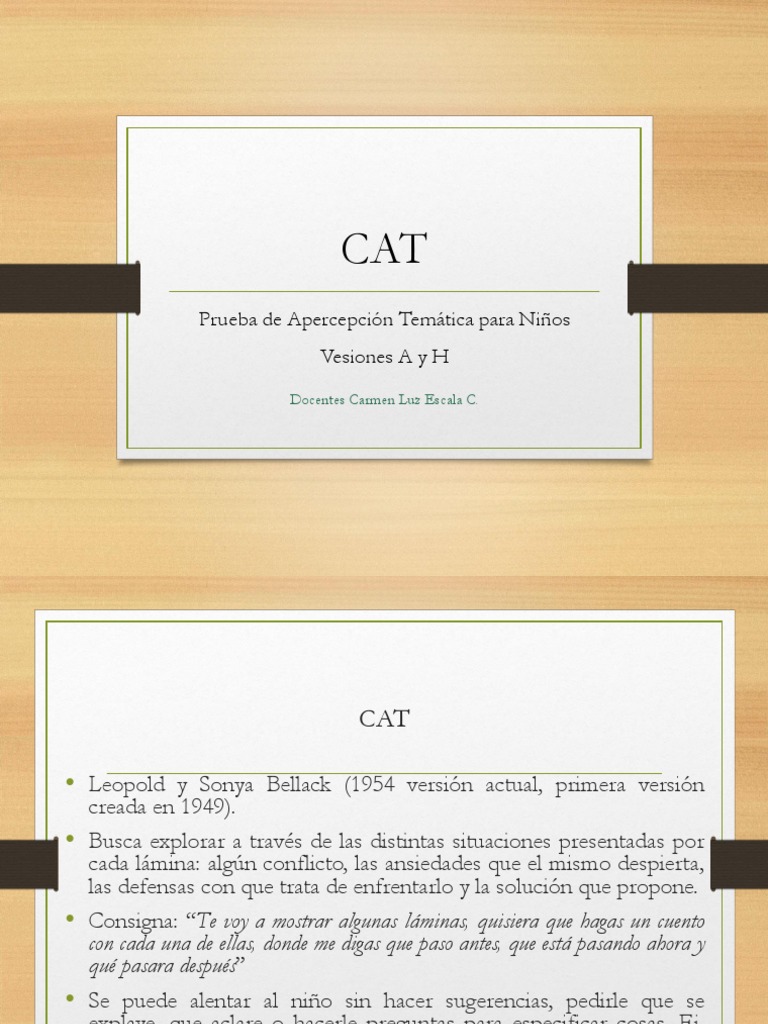 Prueba CAT para Niños: Manual y Aplicación | PDF