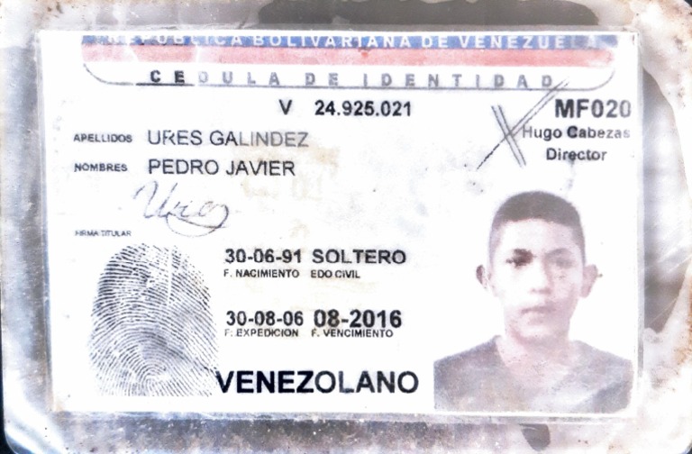 Cedula de Javier | PDF