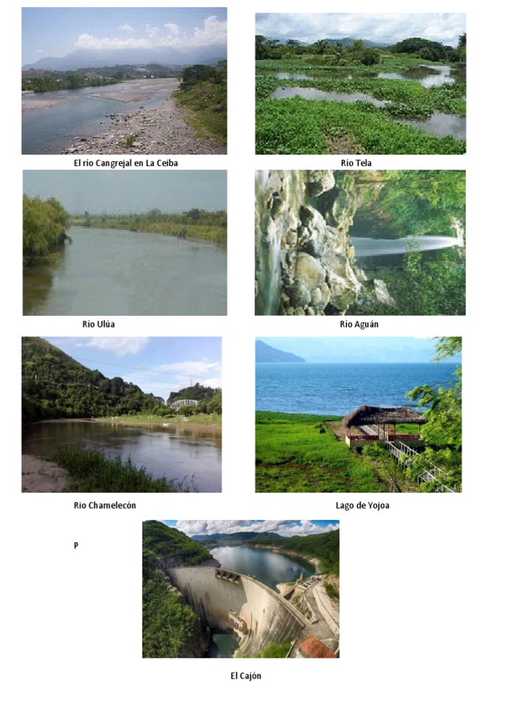 Rios, Lagos y Lagunas | PDF