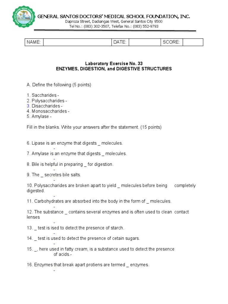 Lab Exercise 34 Enzyme Digestion and Digestive Structures+Quest | PDF ...