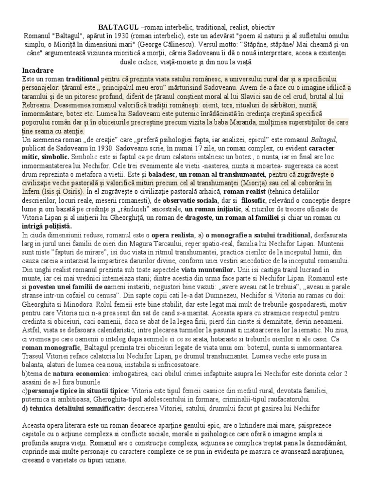 BALTAGUL Viziunea | PDF