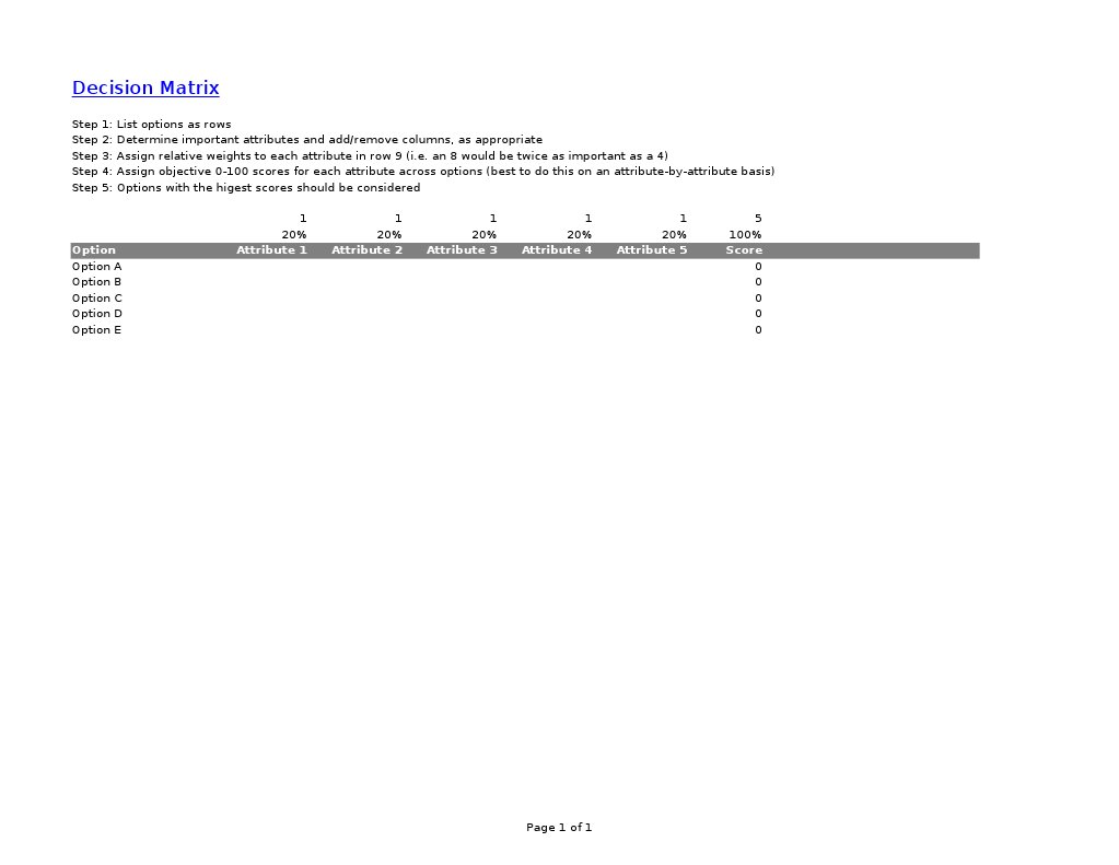 Decision Matrix for Option Evaluation | PDF