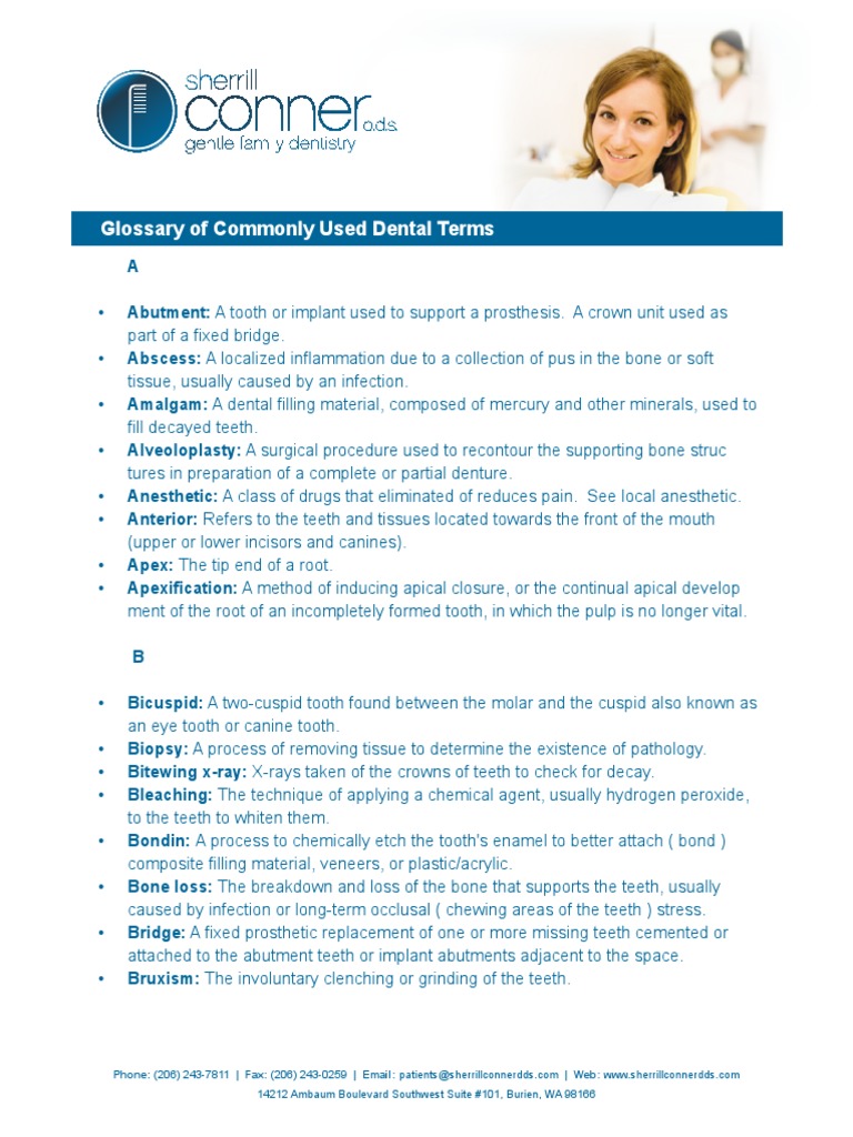 Glossary of Commonly Used Dental Terms: 14212 Ambaum Boulevard ...