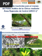 Ficha Tecnica Bingo SG | PDF | Insecticida | Agua