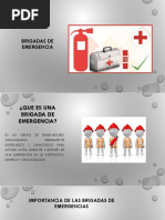 Triptico Brigadas | PDF | Emergencia | Valores