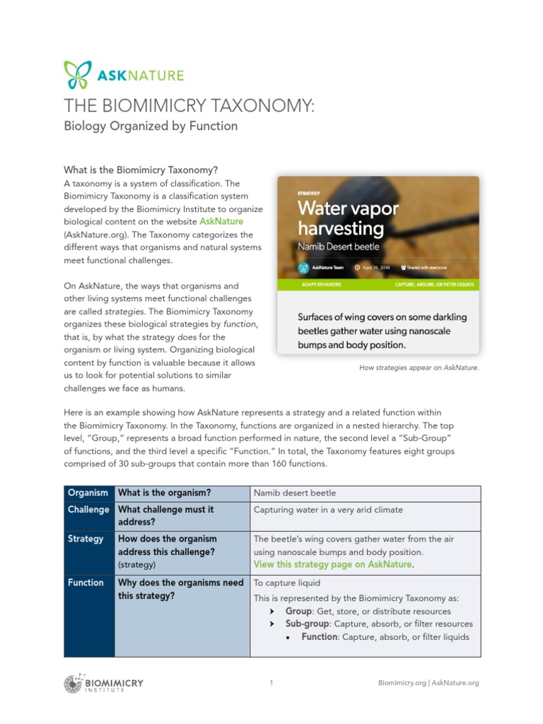 The Biomimicry Taxonomy:: Biology Organized by Function | PDF | Water ...