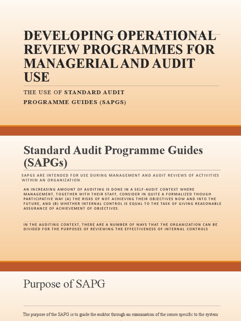 Developing Operational Review Programmes For Managerial and Audit USE | PDF | Audit | Risk