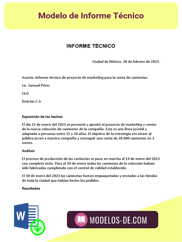 Modelo Informe Tecnico | PDF