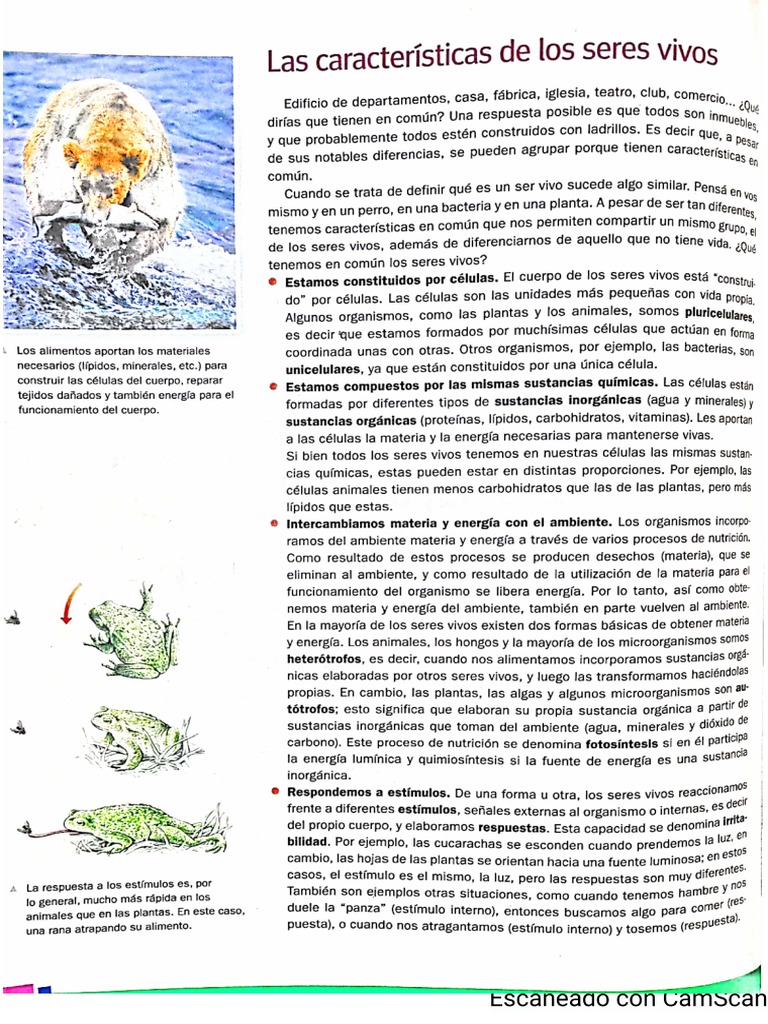Los Seres Vivos Material de Lectura | PDF