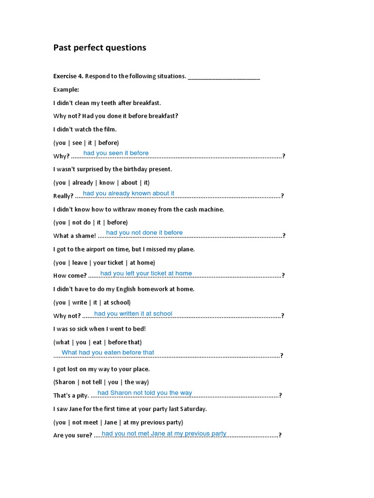 Past Perfect Questions: Exercise 4. Respond To The Following Situations ...