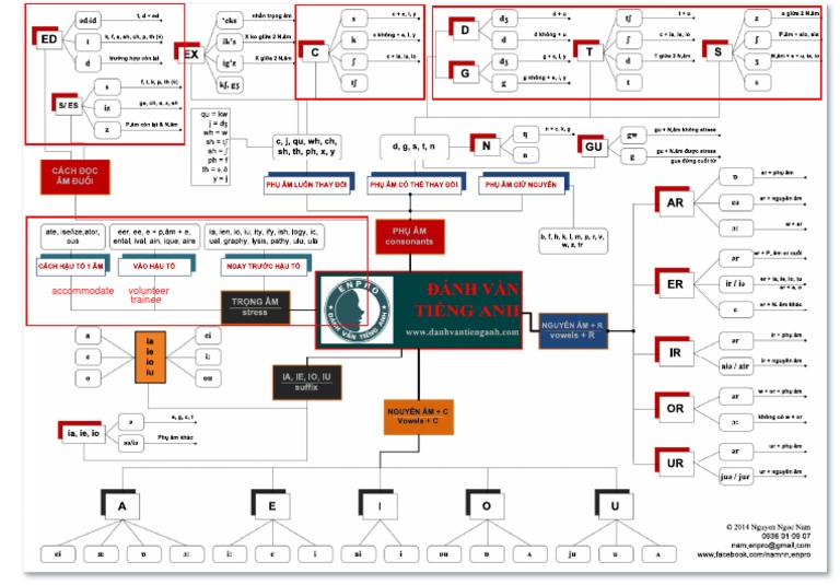 Volunteer & Trainee Guide | PDF