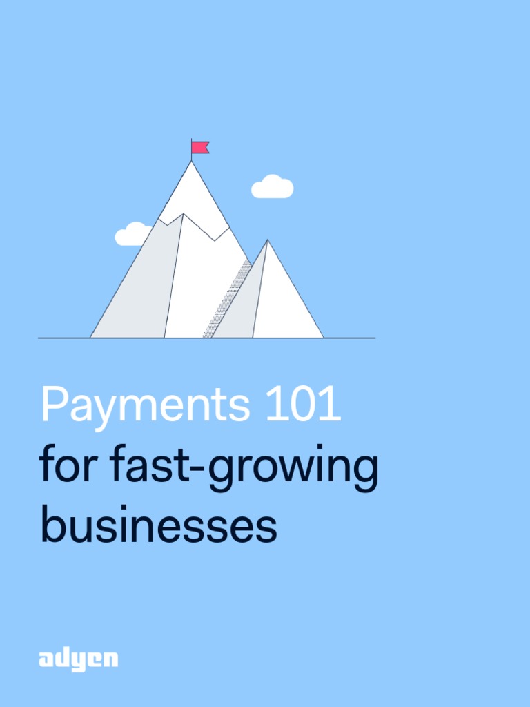 Payments 101: For Fast-Growing Businesses | PDF | Point Of Sale | Fee