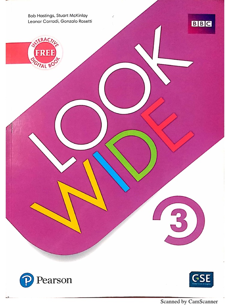 Look 3 Workbook PDF | PDF