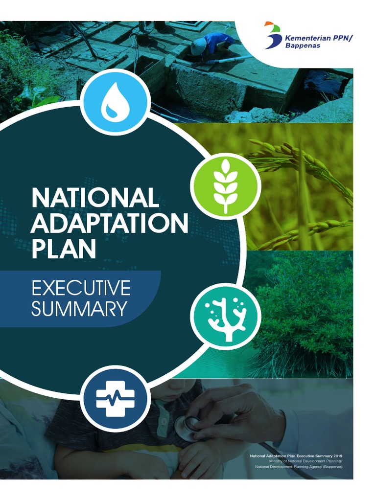 National Adaptation Plan: Executive | PDF | Flood | Climate Change