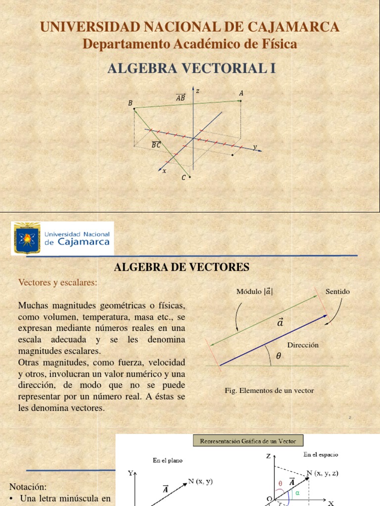 Algebra Vectorial | PDF | Vector Euclidiano | Geometría