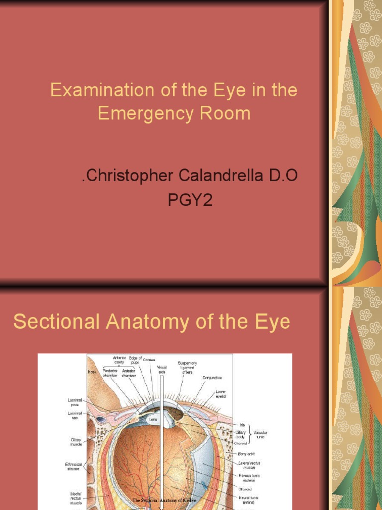 Examination of The Eye in The Emergency Room: Christopher Calandrella D ...