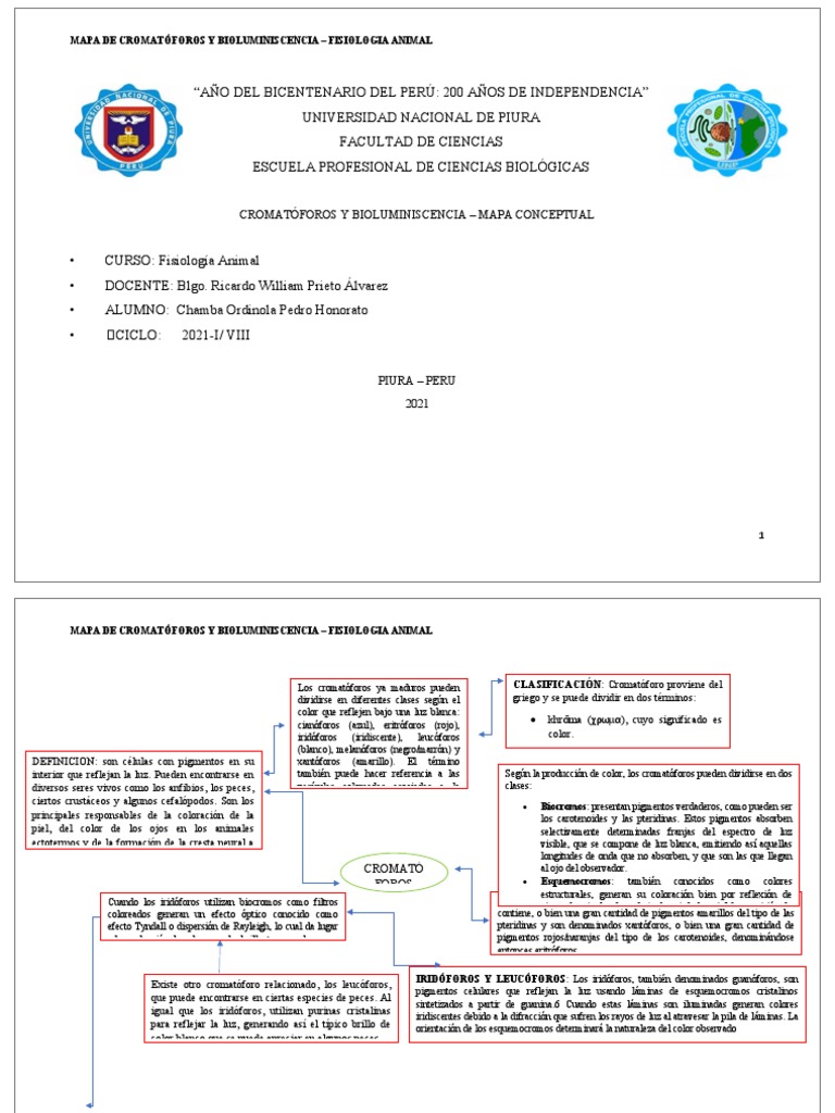 Mapa de Cromatóforos y Bioluminiscencia | PDF | Organismos | Química