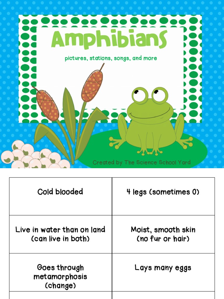 Amphibians: Pictures, Stations, Songs, and More | PDF