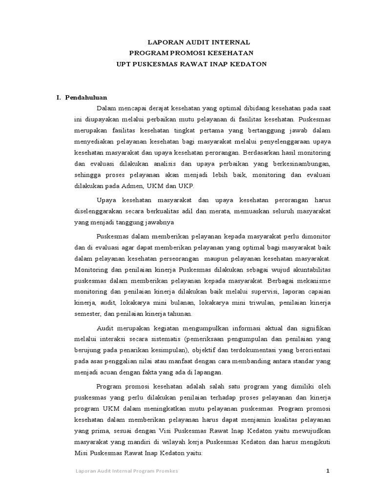 Audit Internal Program Promosi Kesehatan | PDF | Bisnis | Pengelolaan ...