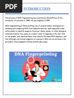Dna Fingerprinting Bio Project | PDF | Dna Profiling | Dna