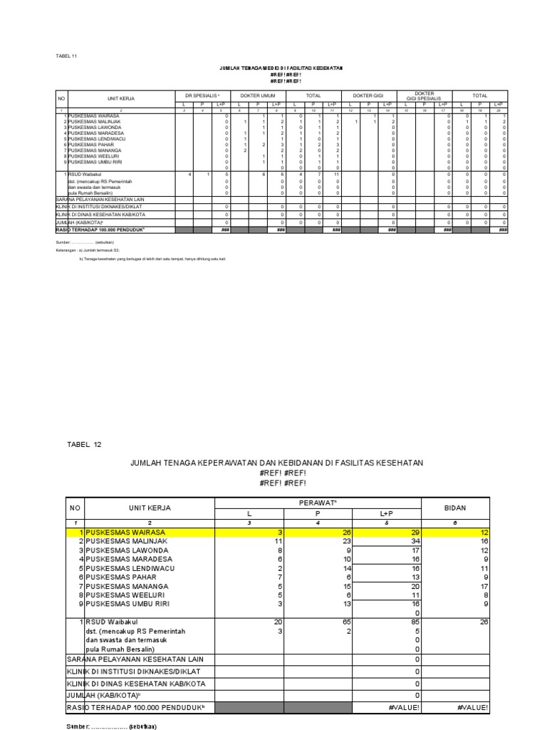 2-Lampiran-Juknis-Profil SDMK | PDF