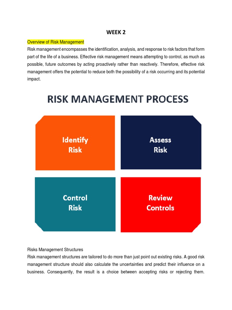 Riskman Compilation | PDF