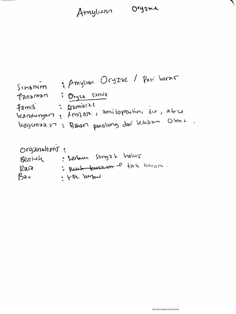Amylum | PDF