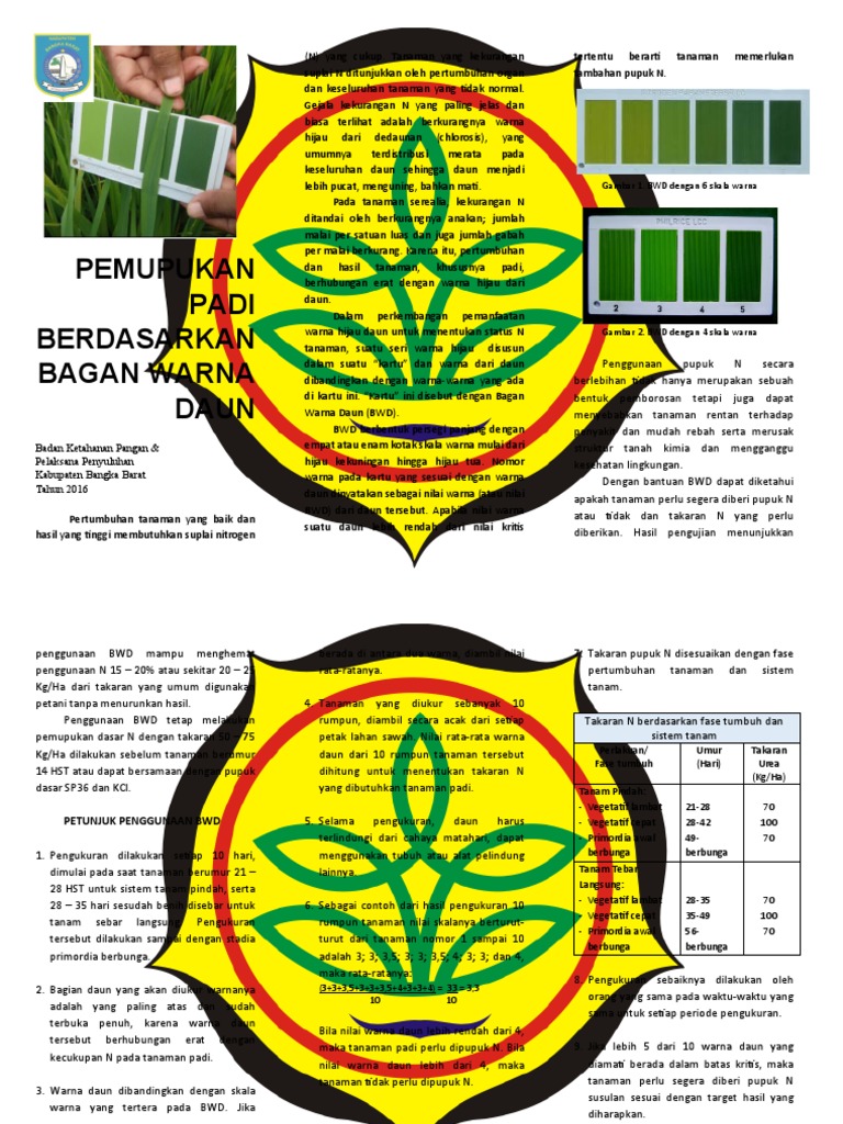 Leaflet BWD | PDF
