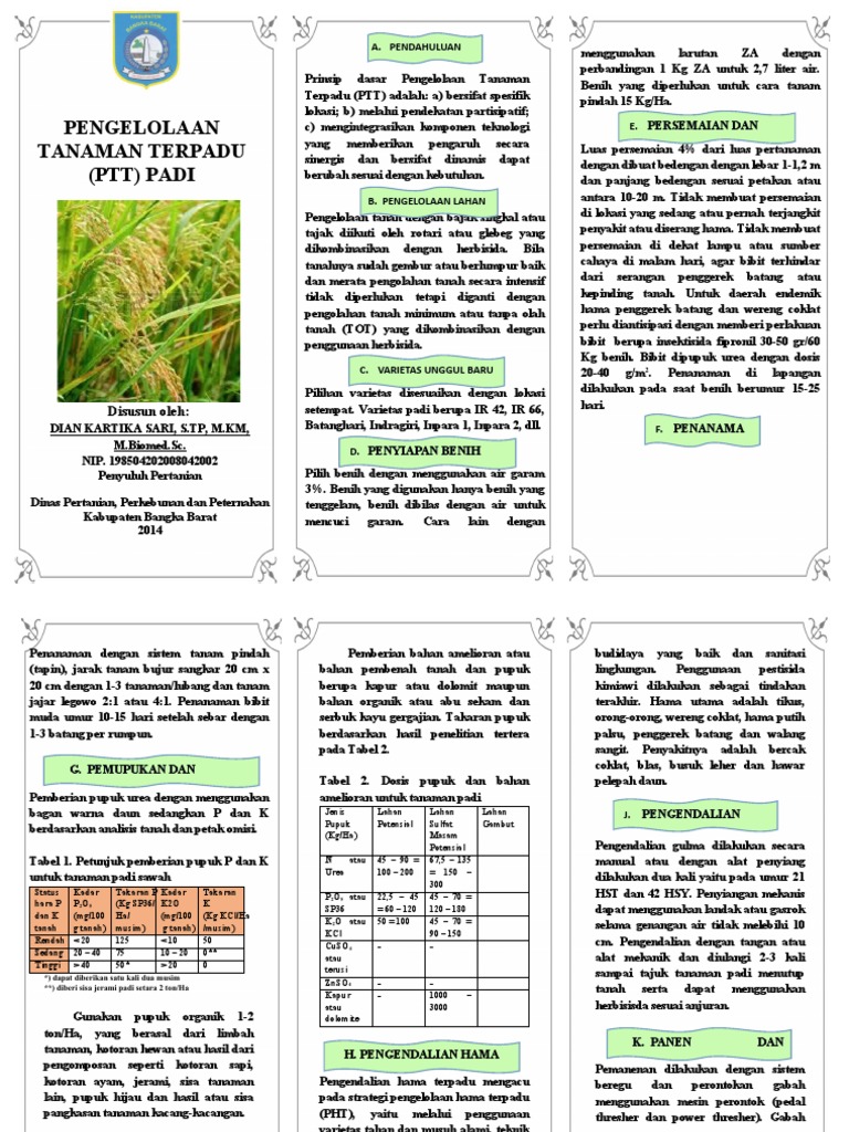 Leaflet Padi | PDF