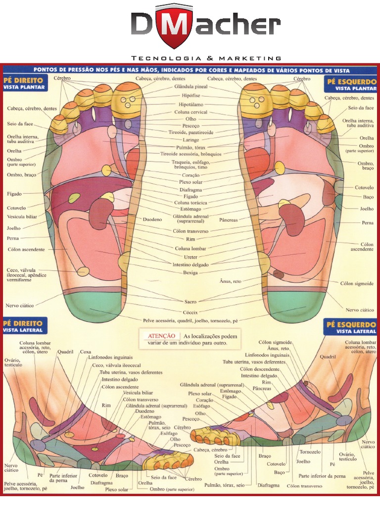 Mapas - Reflexologia Dos Pes | PDF