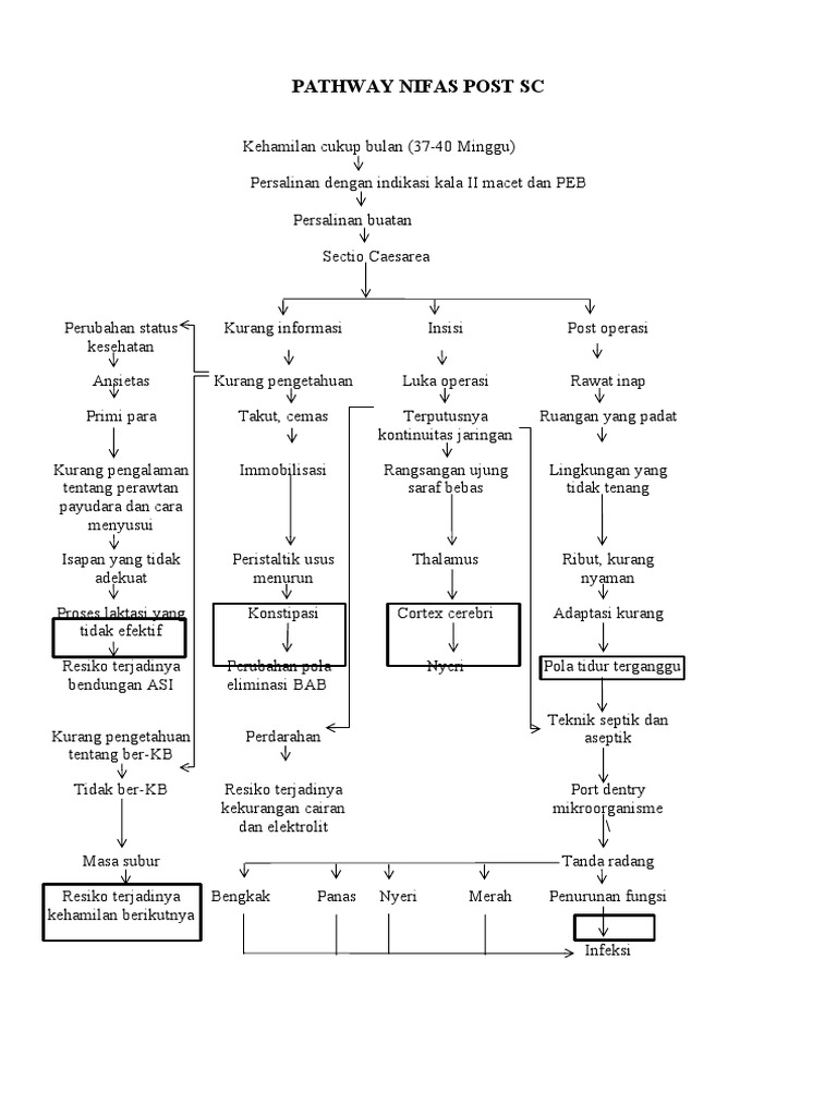 Pathway Nifas SC Dan Peb | PDF
