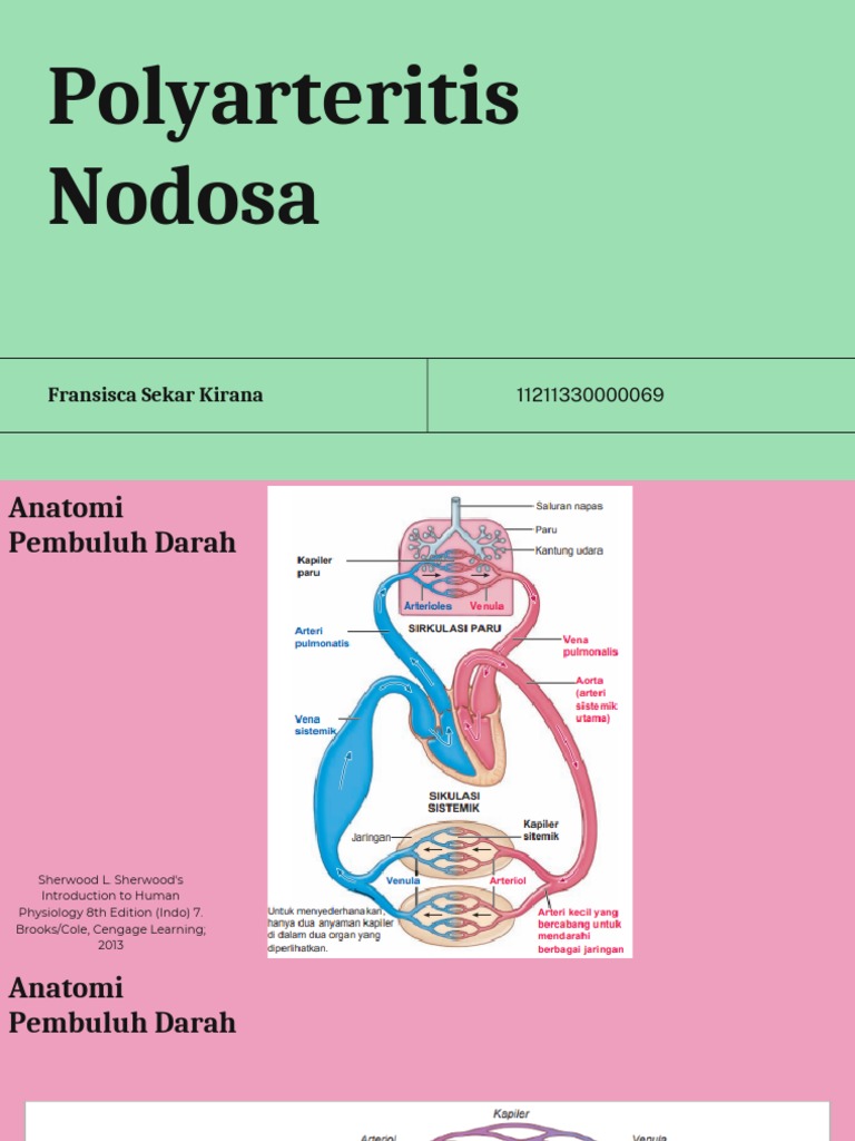 Polyarteritis Nodosa | PDF