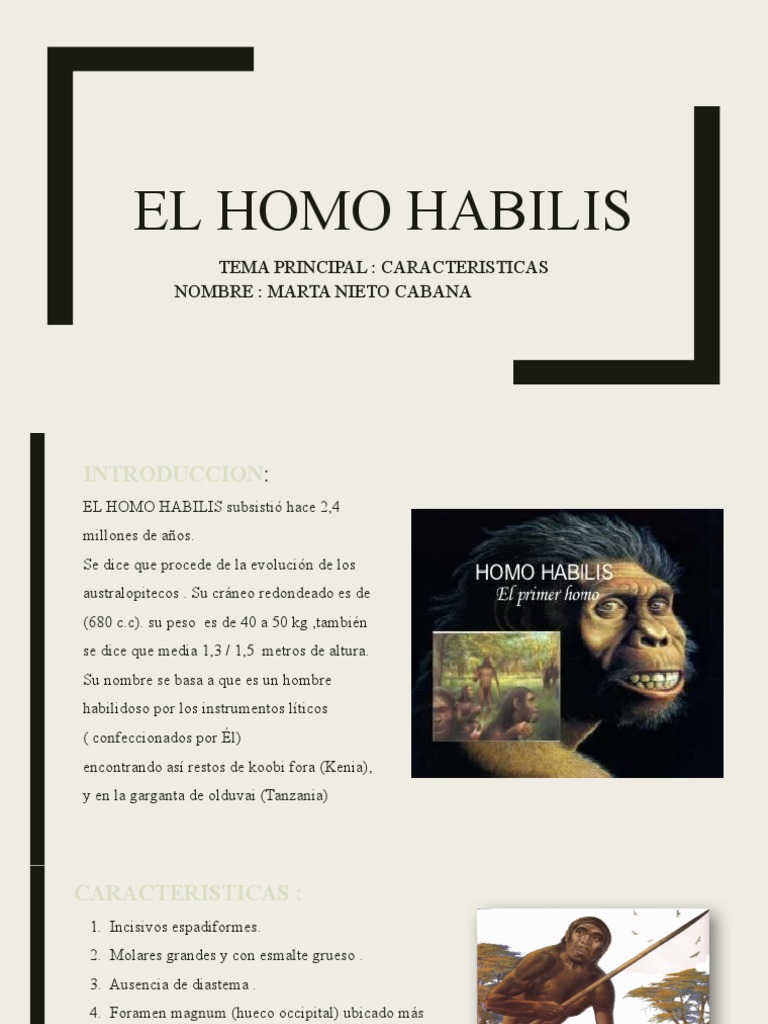 El Homo Habilis | PDF