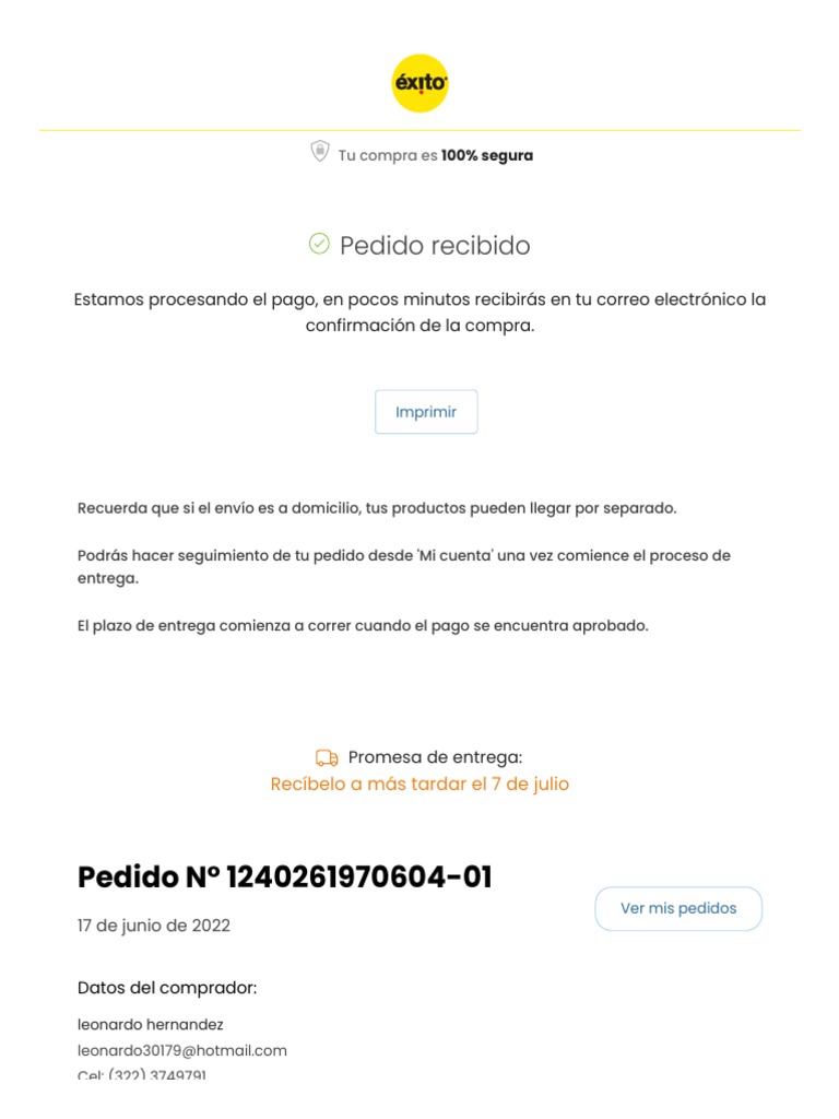 Pedido Recibido | PDF