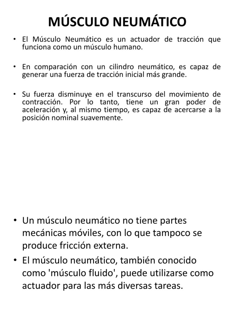 Músculo Neumático | PDF | Músculo esquelético | Neumático