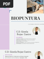 Uso y Precauciones de Derrumal 300 | PDF | Medicamentos con receta ...