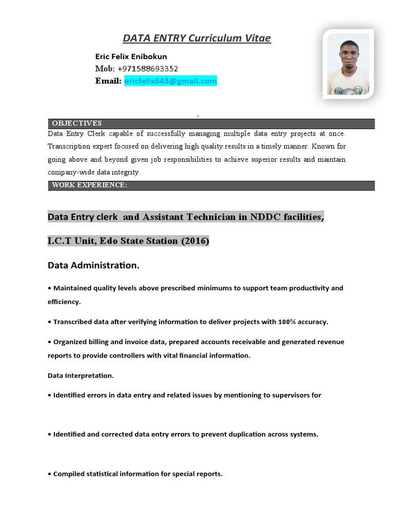 DATA ENTRY Curriculum Vitae | Download Free PDF | Data | Business