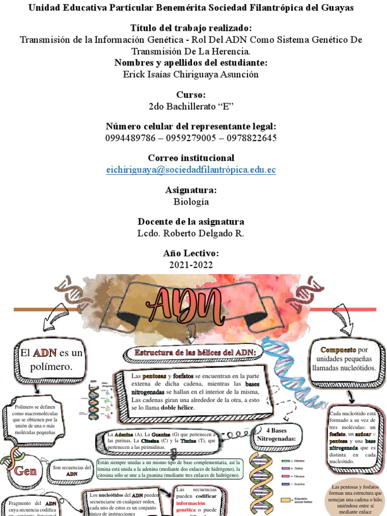 El ADN | Descargar gratis PDF | Adn | Genética